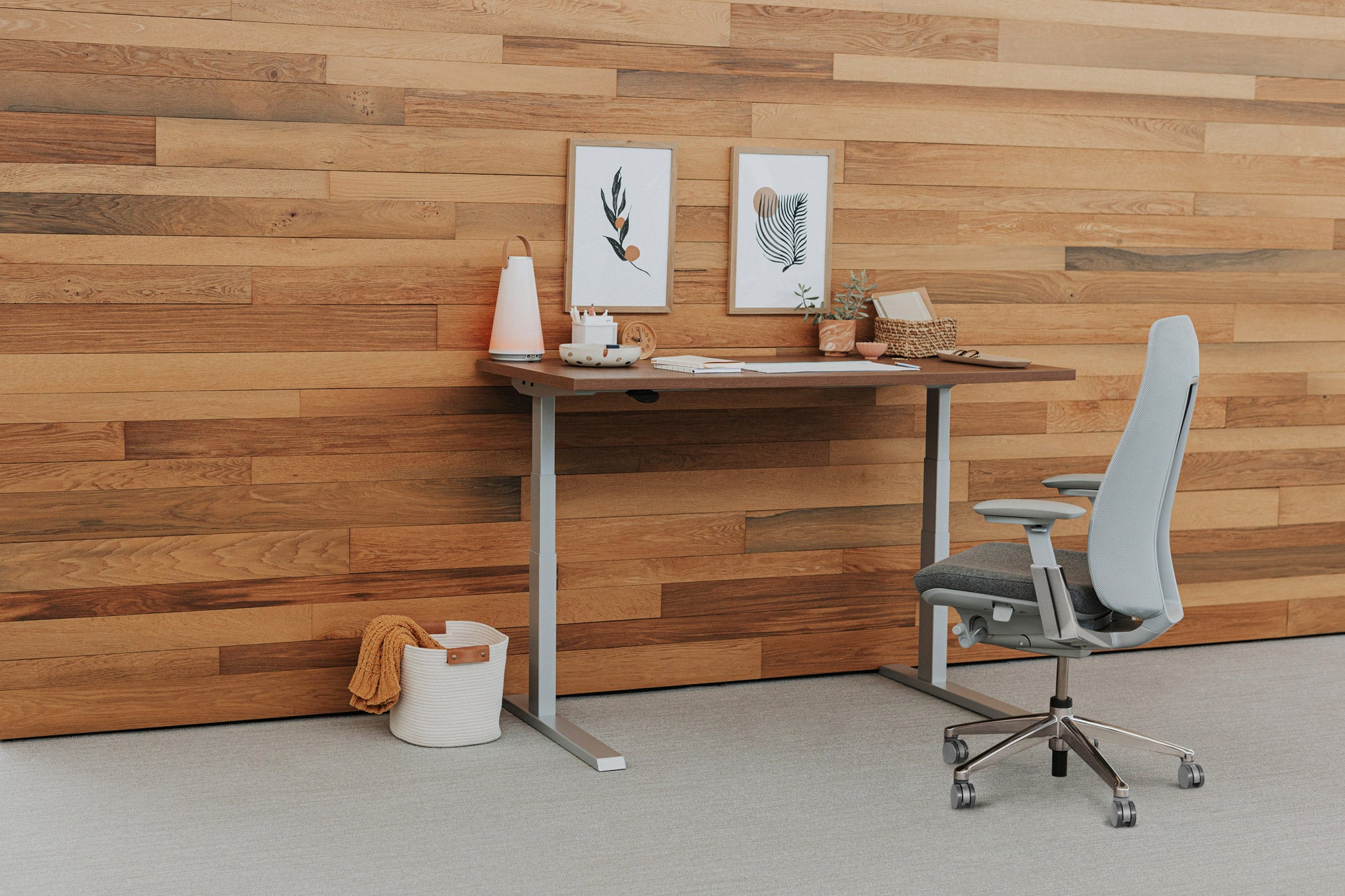 Shop arista – Arista